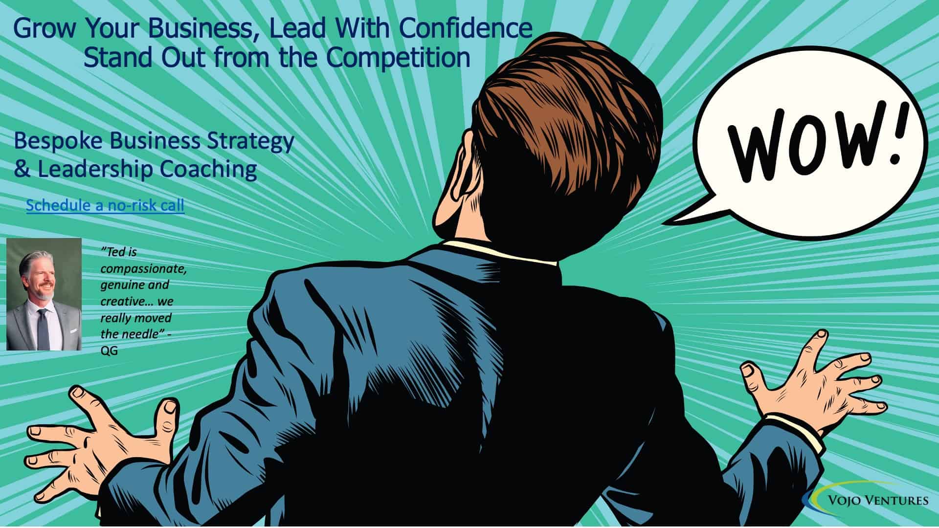 Customized Strategies and Leadership Coaching - Vojo Ventures